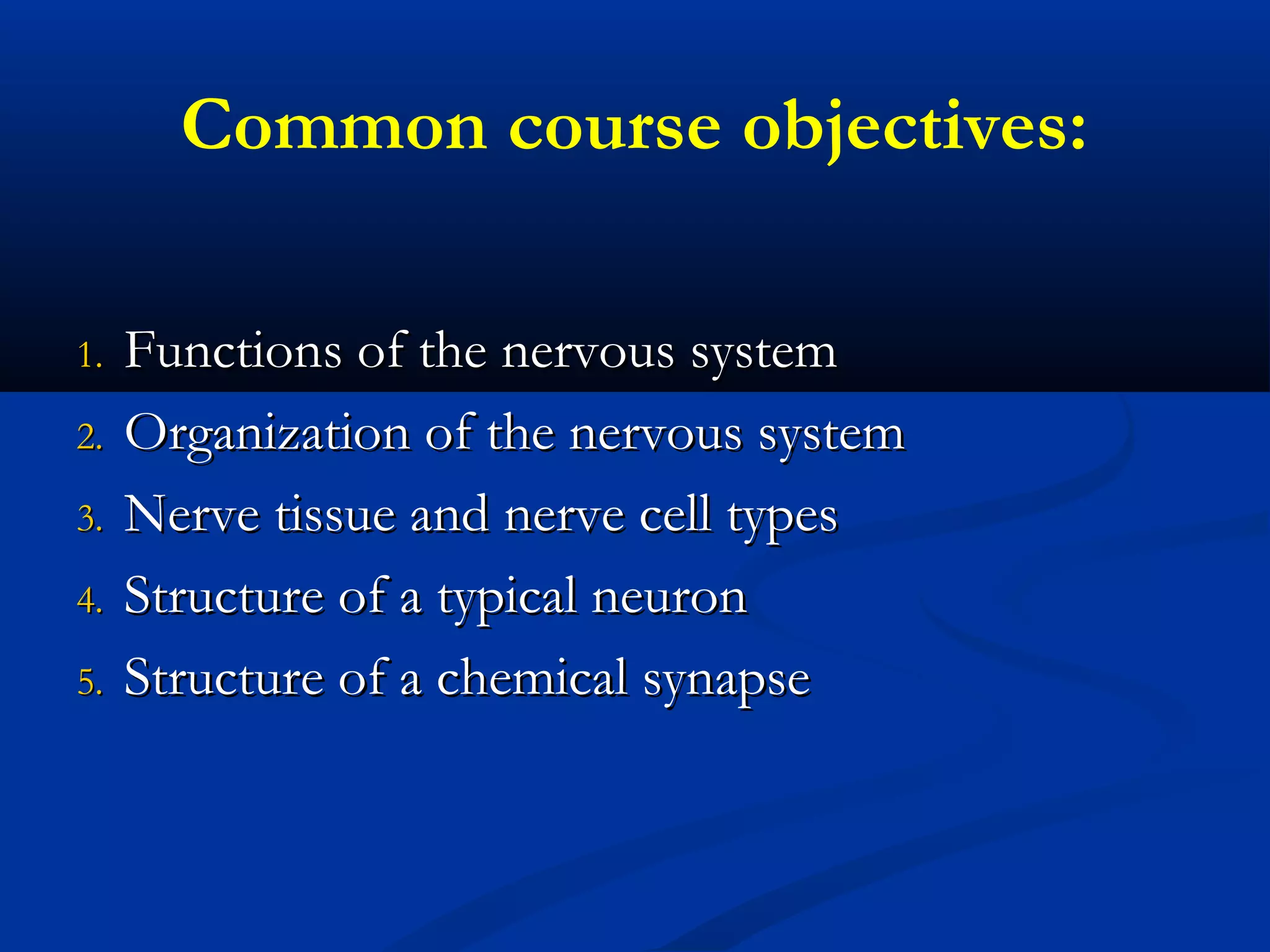 what is nervous tissue | PPT