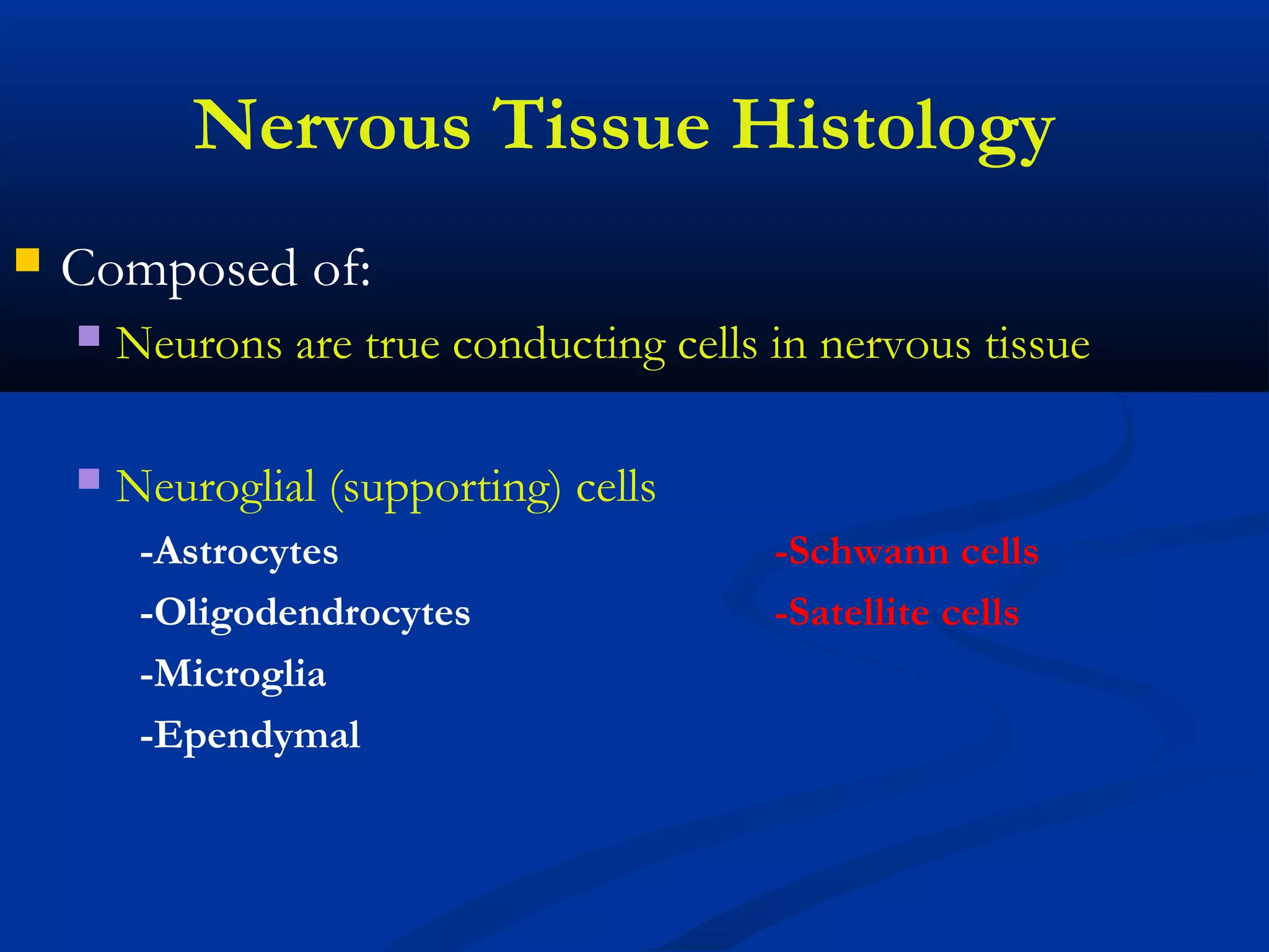 what is nervous tissue | PPT