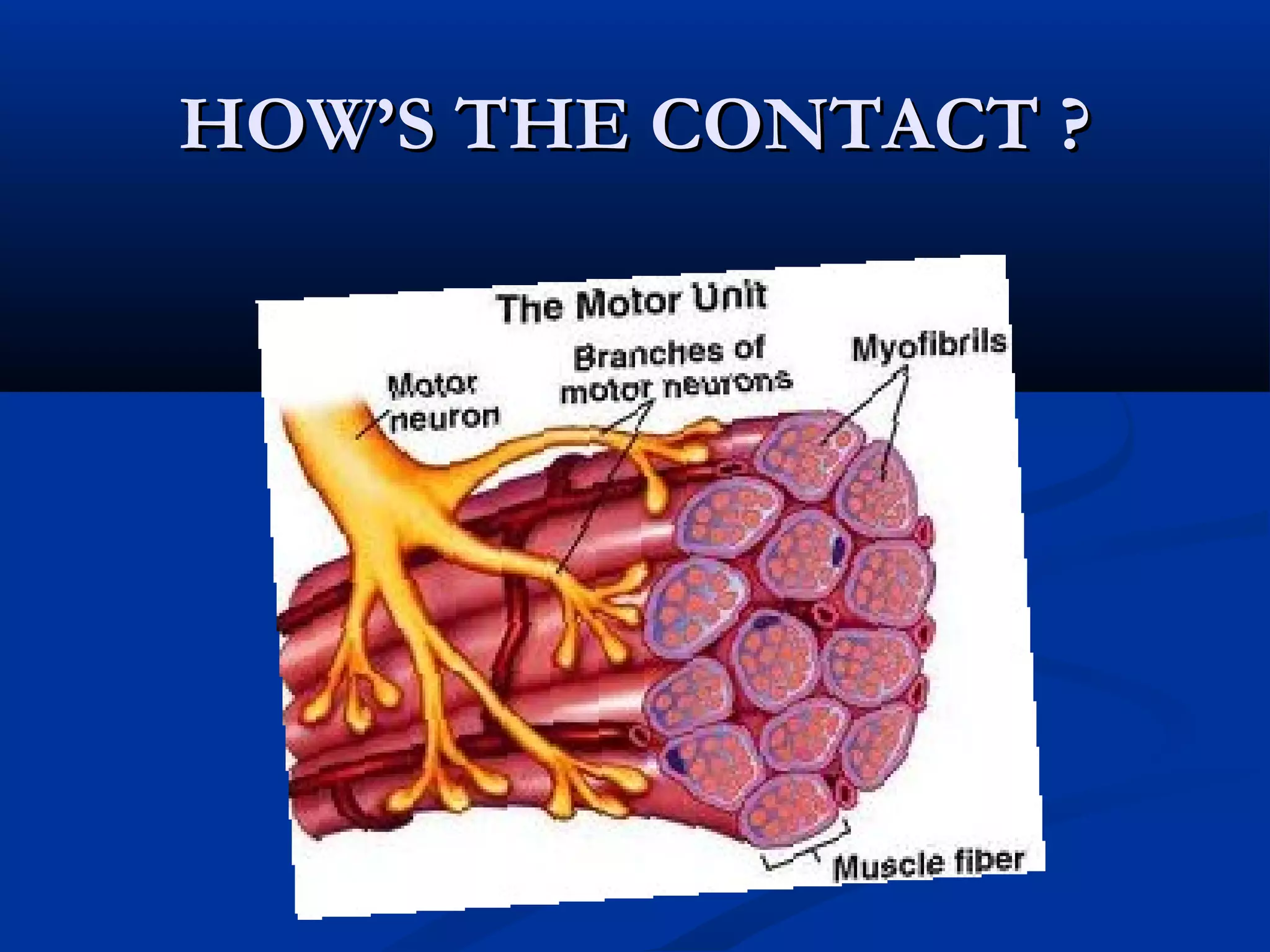 what is nervous tissue | PPT | Operating Systems | Computer Software and Applications