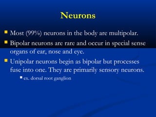 Nervous Tissue Definition