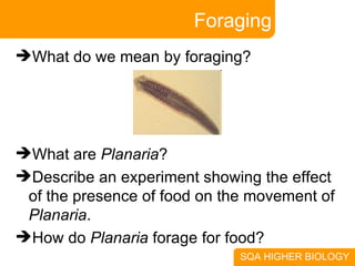5. Obtaining Food | PPT