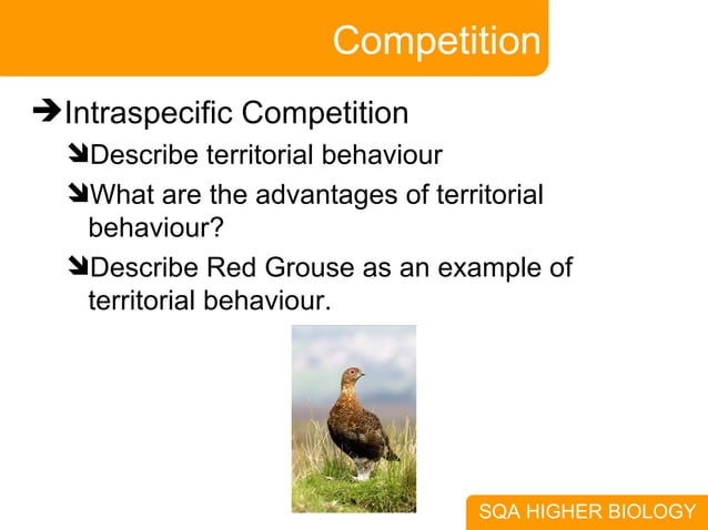 5. Obtaining Food | PPT