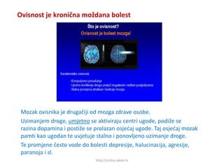 Prometna Učilica: Opasnosti droga za zdravlje | PPTX