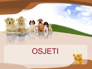 Osjeti | PPT