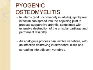 5-OSTEOMYELITIS and SEPTIC ARTHRITIS.ppt | Bone and Joint Conditions ...