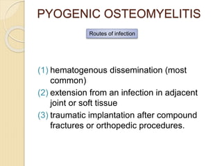 5-OSTEOMYELITIS and SEPTIC ARTHRITIS.ppt | Bone and Joint Conditions ...