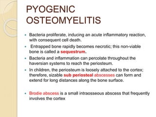 5-OSTEOMYELITIS and SEPTIC ARTHRITIS.ppt | Bone and Joint Conditions ...