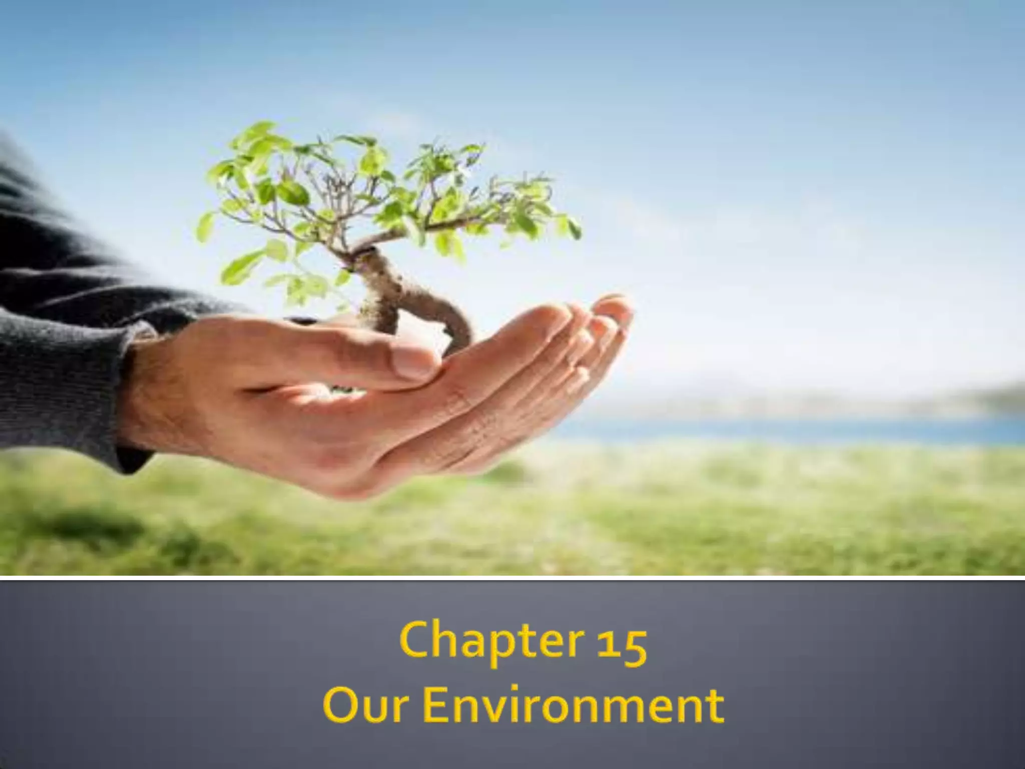 5. our environment | PPTX