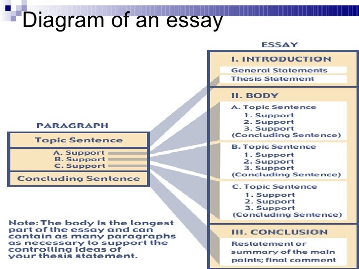 Writing An Essay Structure Writing An Essay Structure