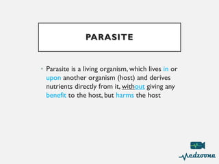 5-Parasitology Branch Lecture in microbiology | PDF