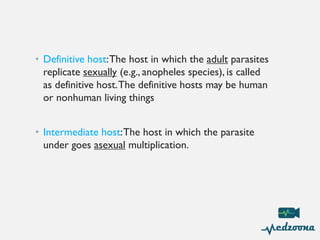 5-Parasitology Branch Lecture in microbiology | PDF