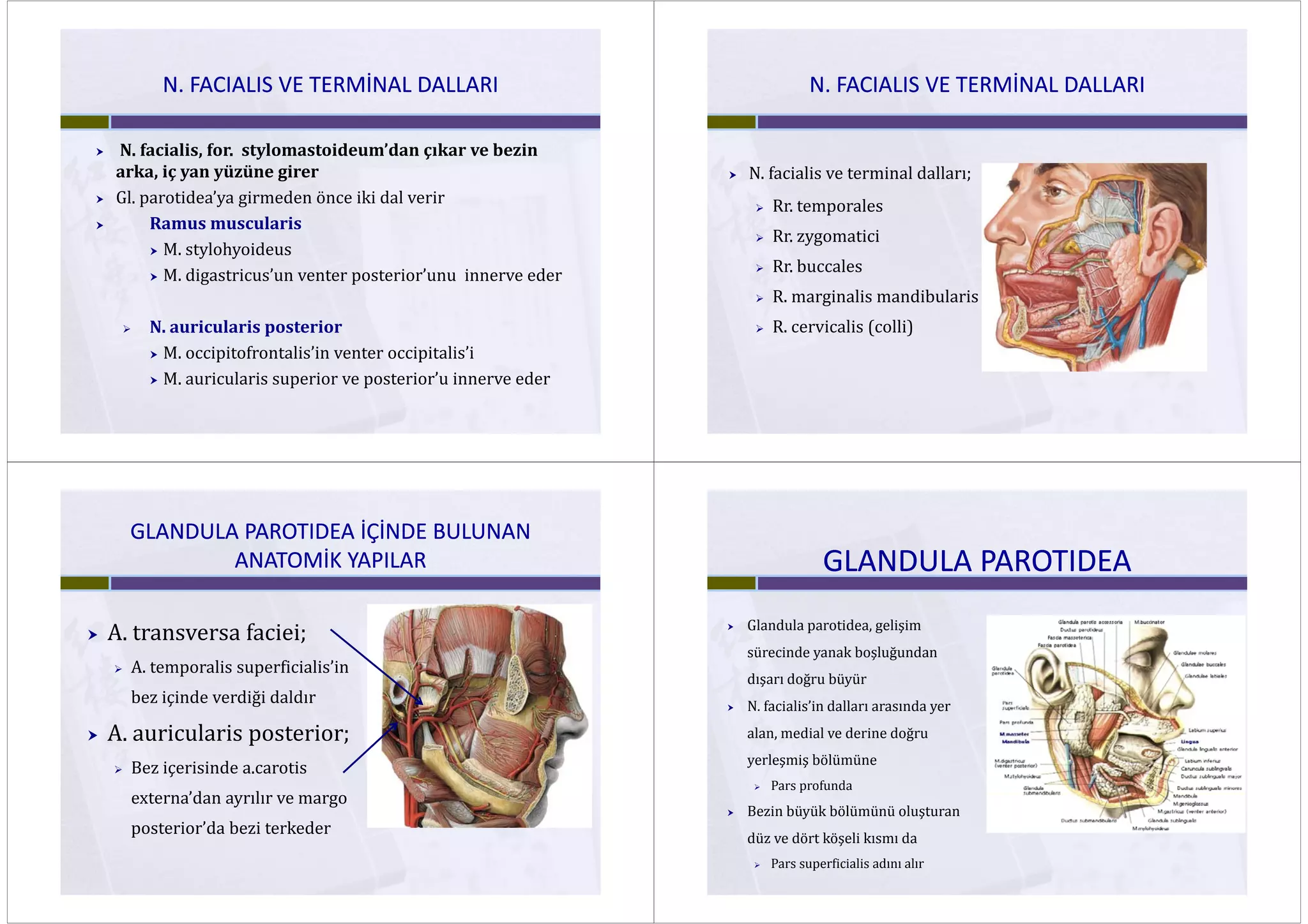 5 parotis-dis-3-2015 | PDF
