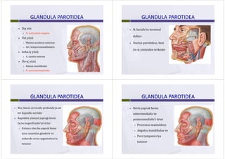 5 parotis-dis-3-2015 | PDF