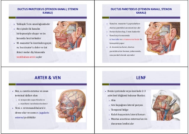 5 parotis-dis-3-2015