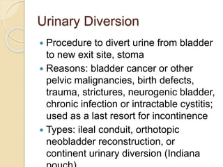 5-part 2-urinary tract disl,;l,';l';orders.ppt