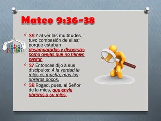 Pastoreando en Grupos Pequeños | PPT
