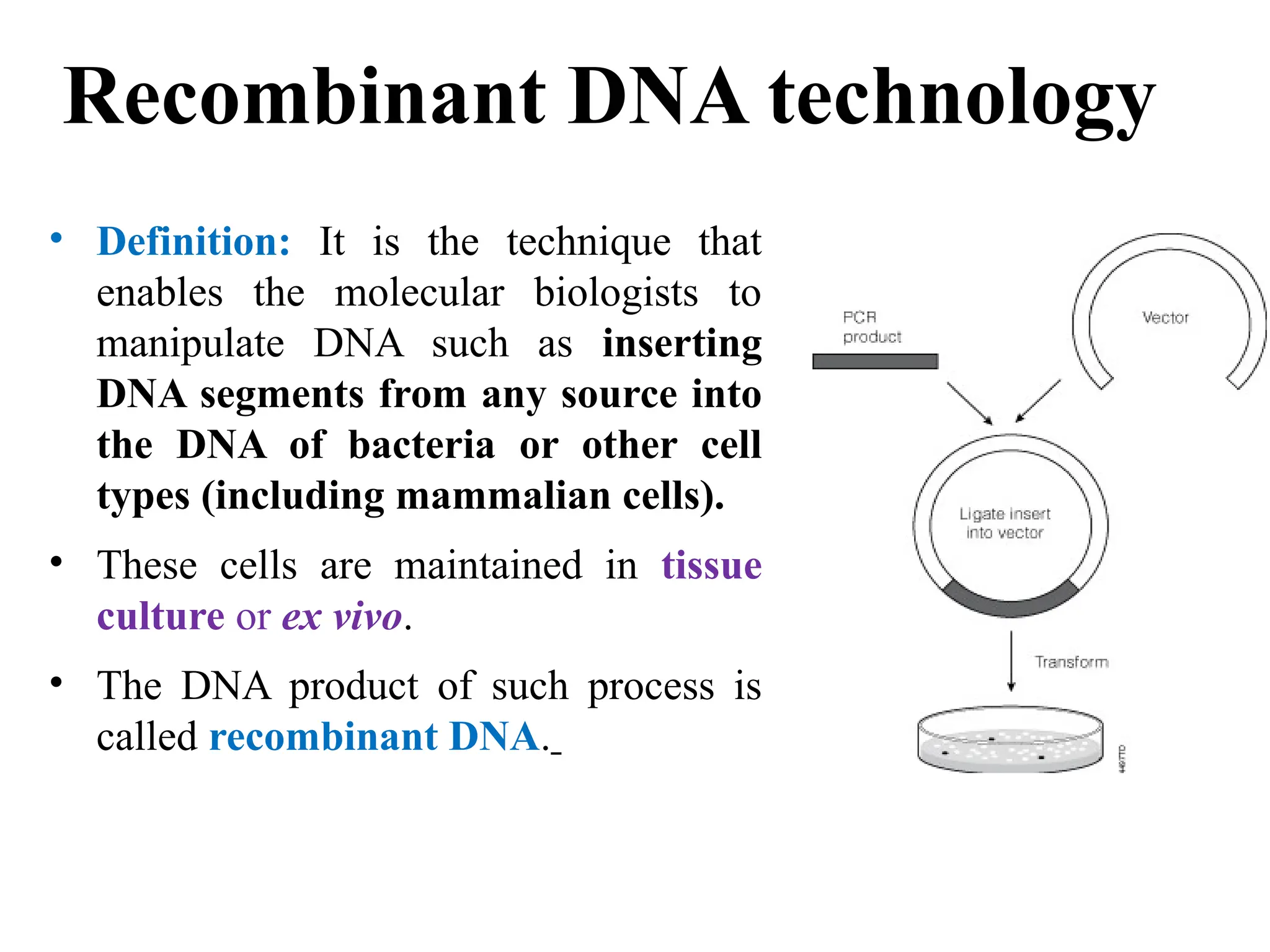 5- PCR, recombinant DNA, RFLP, blotting pdf.pptx