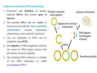 5- PCR, recombinant DNA, RFLP, blotting pdf.pptx