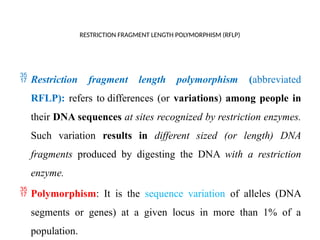 5- PCR, recombinant DNA, RFLP, blotting pdf.pptx