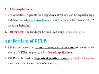 5- PCR, recombinant DNA, RFLP, blotting pdf.pptx