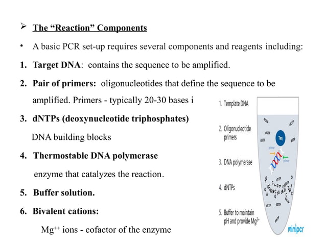 5- PCR, recombinant DNA, RFLP, blotting pdf.pptx