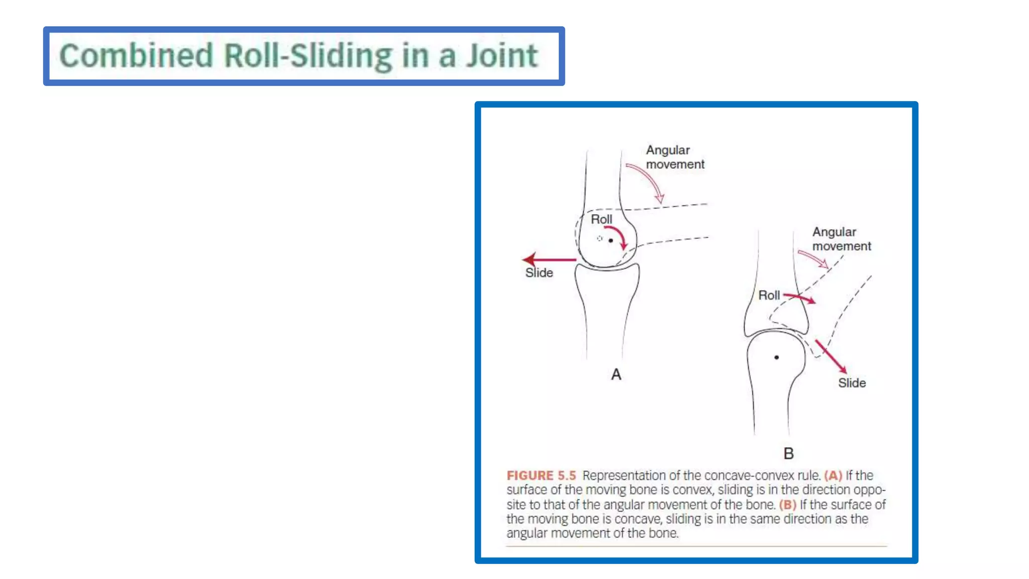 5-Peripheral Joint Mobilization.pptx