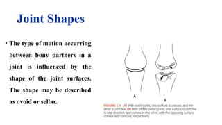 5-Peripheral Joint Mobilization.pptx