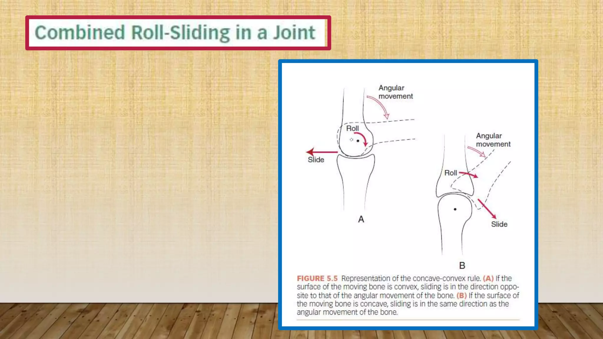 5-Peripheral Joint moblization and manipulation.pptx
