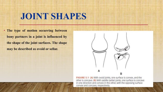 5-Peripheral Joint moblization and manipulation.pptx