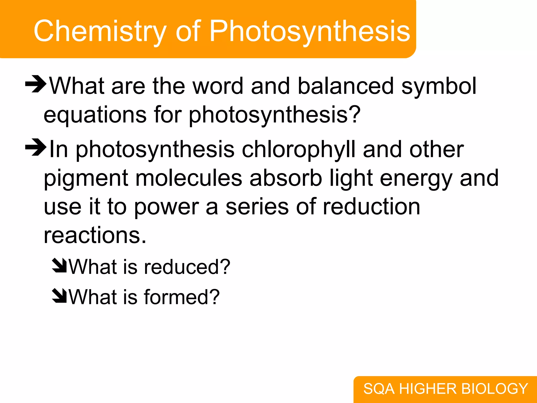 5. Photosynthesis | PPT