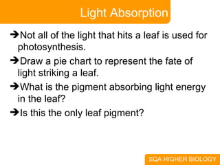 5. Photosynthesis | PPT