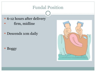 #5 Power point 231 | PPT