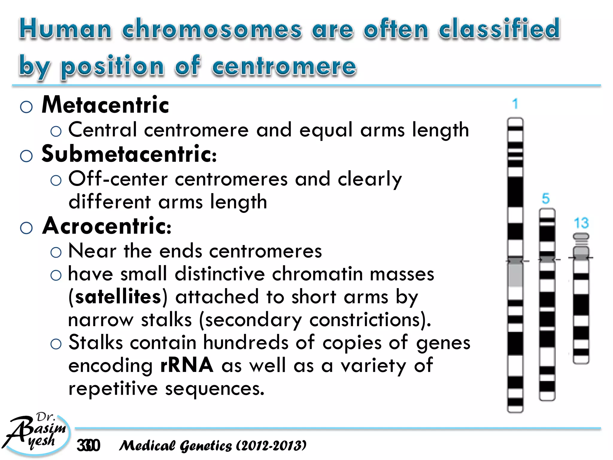 Principles of clinical cytogenetics | PDF