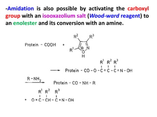 Physico-chemcial Properties of proteins | PDF