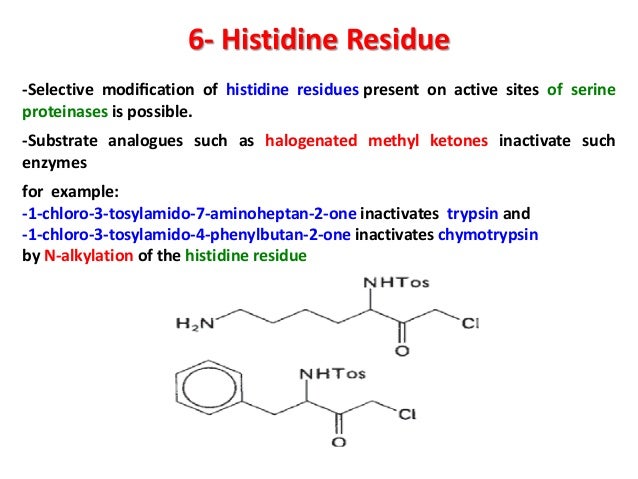 Physico-chemcial Properties of proteins