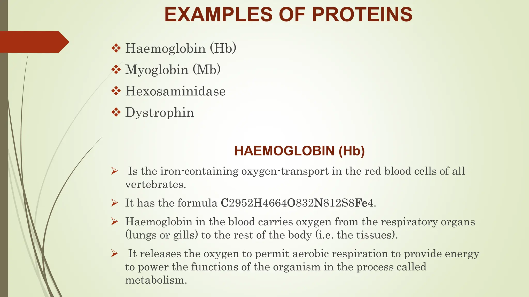 5 - Proteins, hemoglobin & myoglobin.pptx