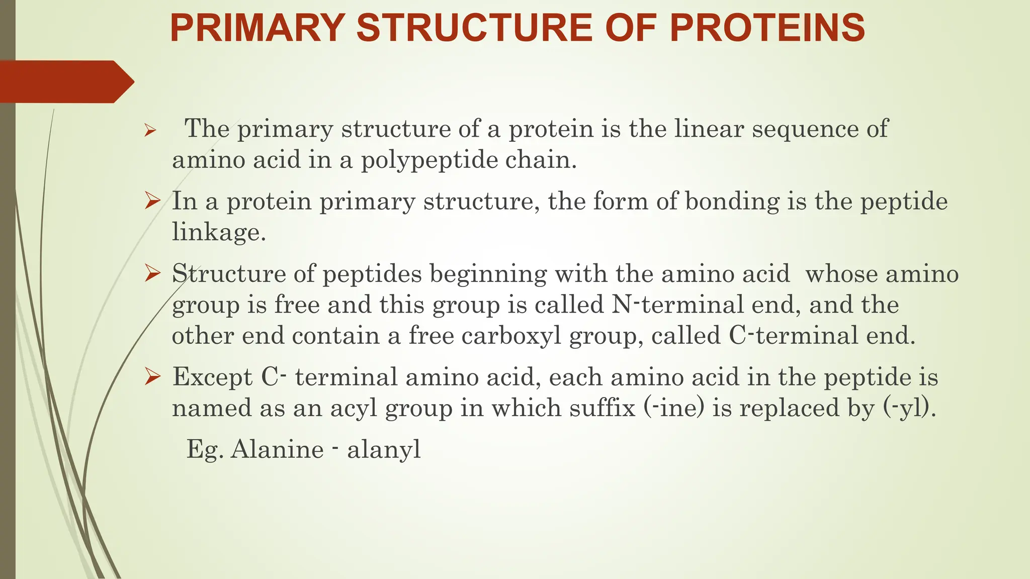 5 - Proteins, hemoglobin & myoglobin.pptx