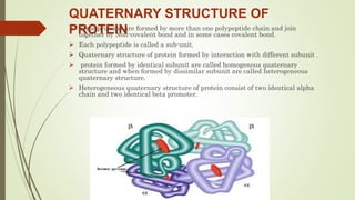 5 - Proteins, hemoglobin & myoglobin.pptx