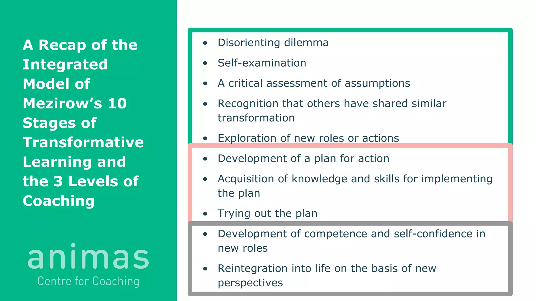 Psychological Dimensions in Transformative Coaching.pdf