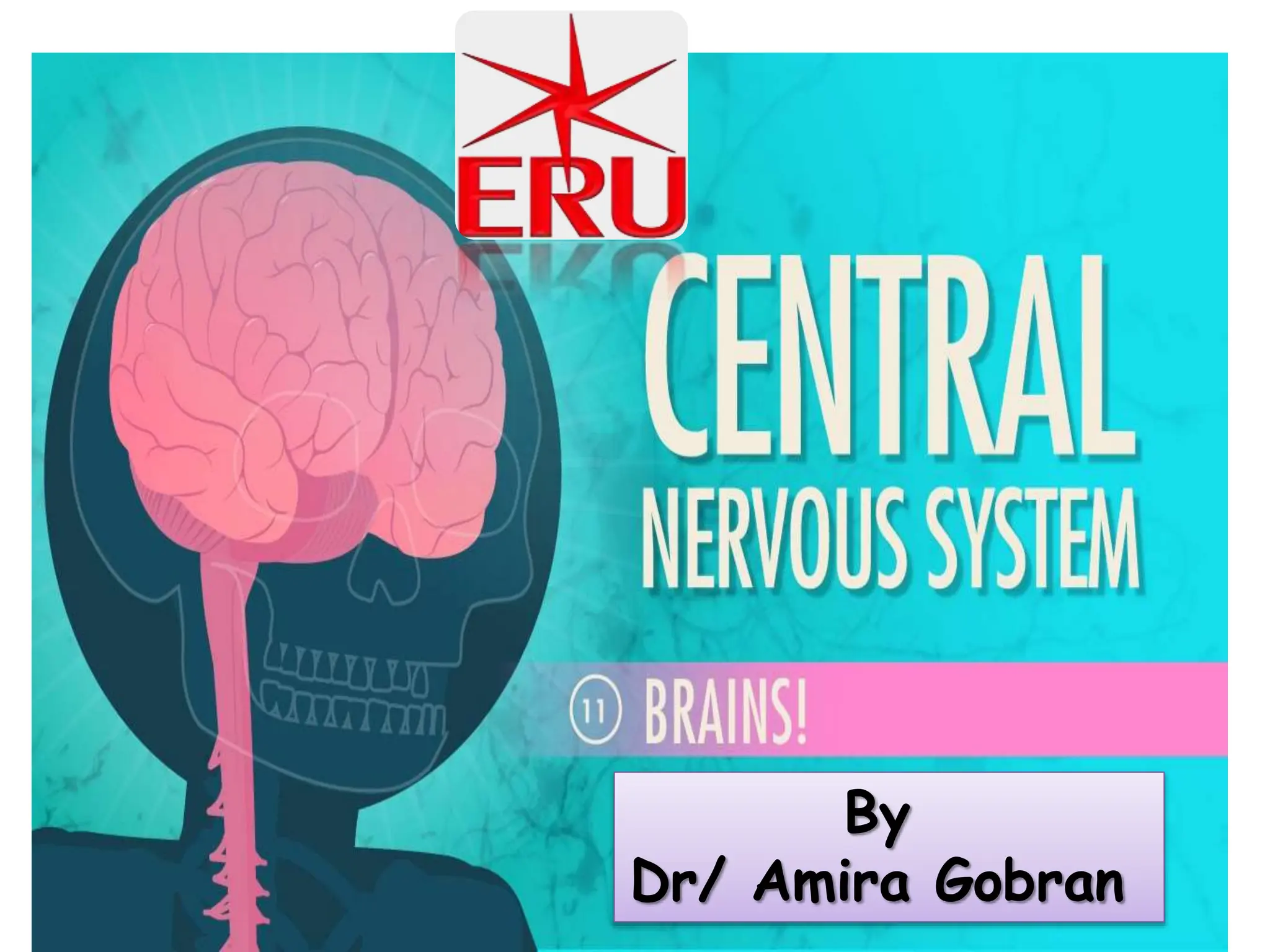 crenial nerve by dr omar moo in pysiology | PPT