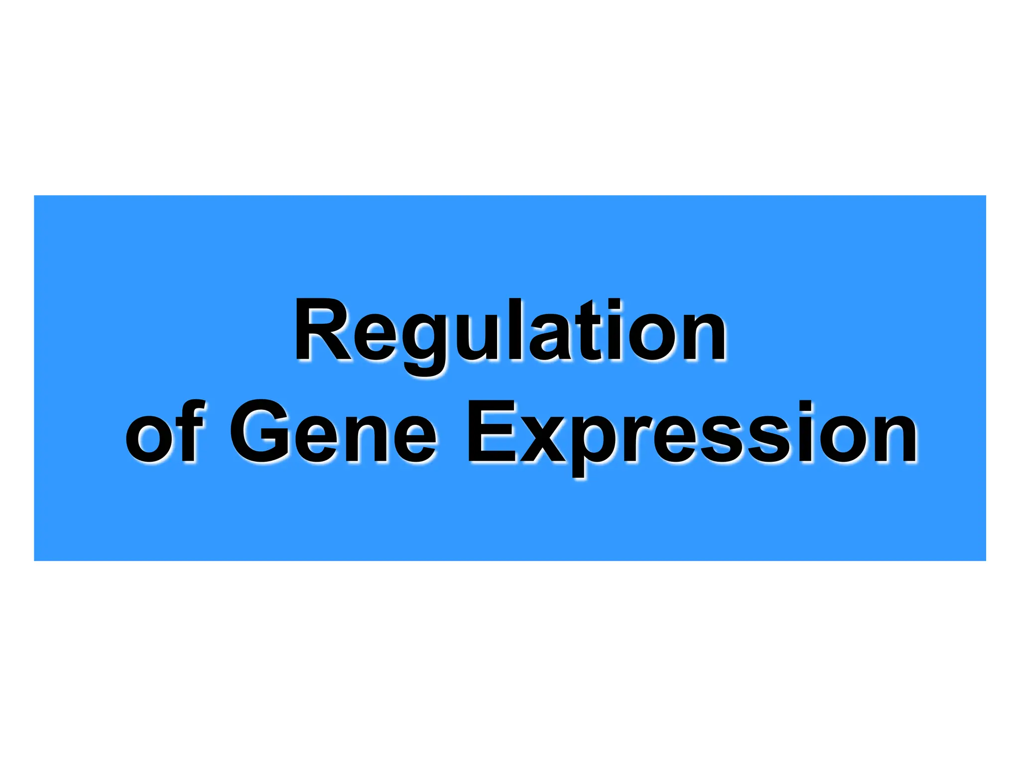 5- Regulation of Gene Expression Lecture.ppt
