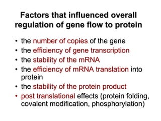 5- Regulation of Gene Expression Lecture.ppt