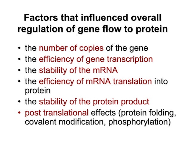 5- Regulation of Gene Expression Lecture.ppt | Endocrine and Metabolic ...