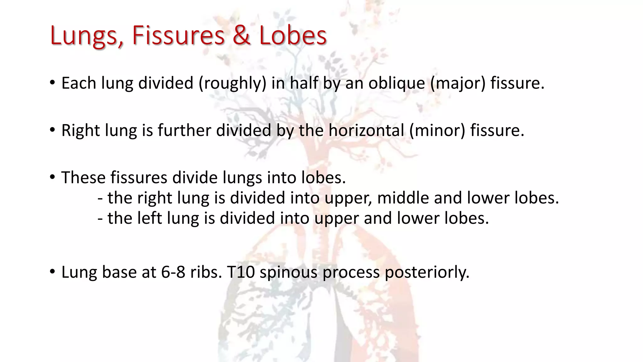 5- RESPIRATORY SYSTEM (1).pptx