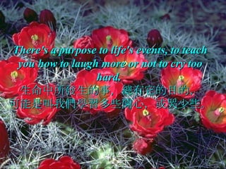 5 Rules in Life | PPS