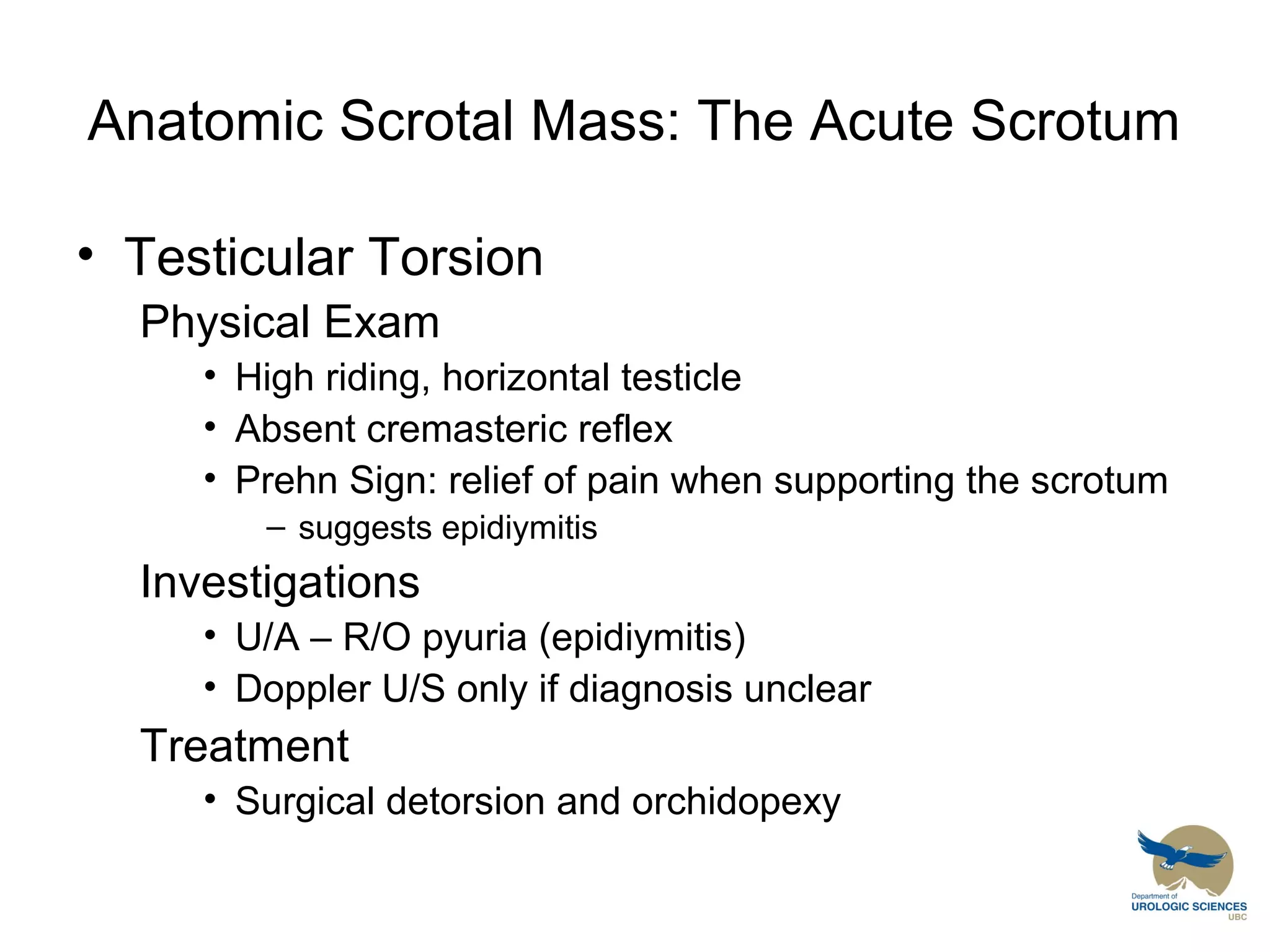 Scrotal masses and Testicular tumors | PPT