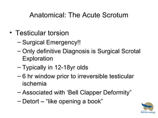 Scrotal masses and Testicular tumors | PPT