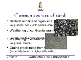 LSUMNS Secrets of Sand | PPT