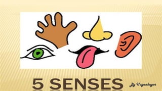 5-senses-and-body-parts-beginner level.pptx