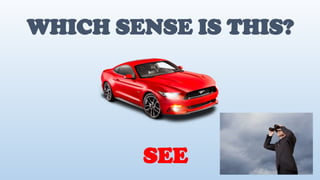 5-senses-and-body-parts-beginner level.pptx